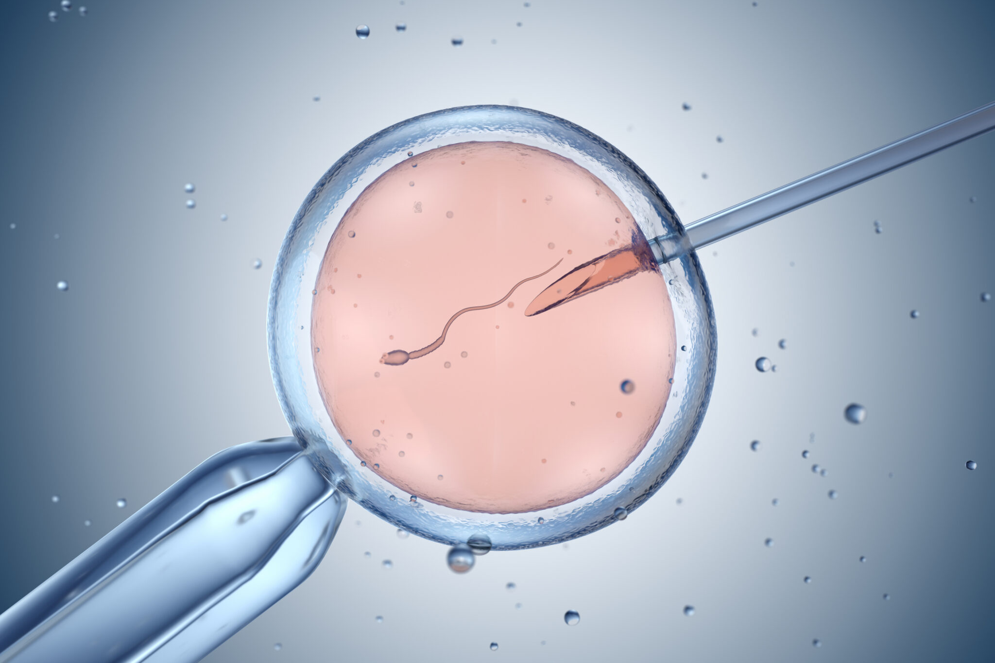 Frozen Embryo Transfer | Fertility & Surgical Associates of California